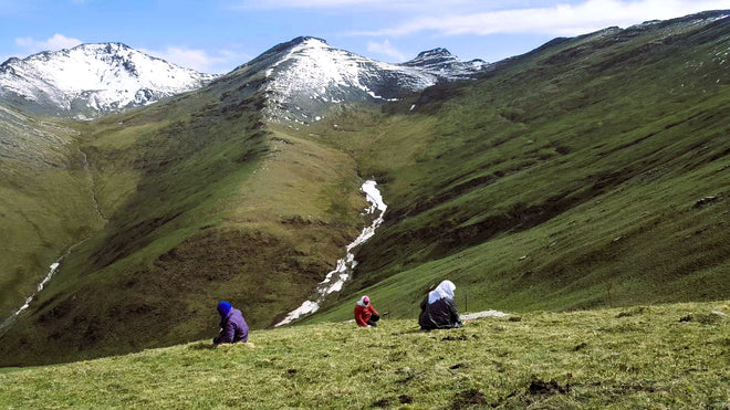 Botanical Biohacking